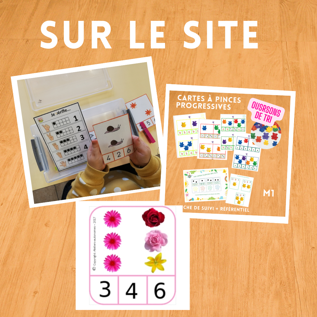 Fiche pédagogique - les cartes à pinces