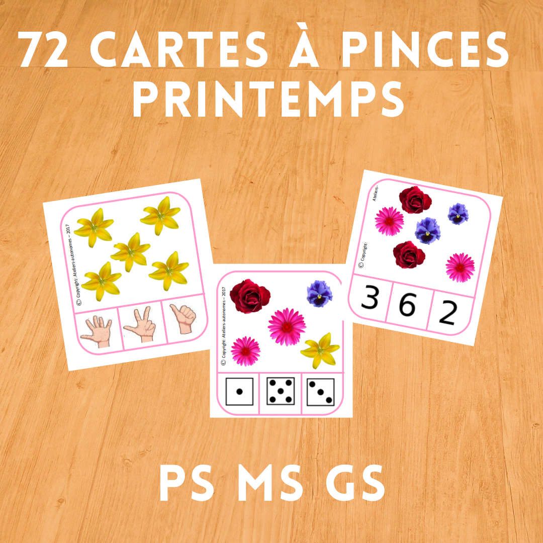 Cartes à pinces Printemps M1 - M2 - M3