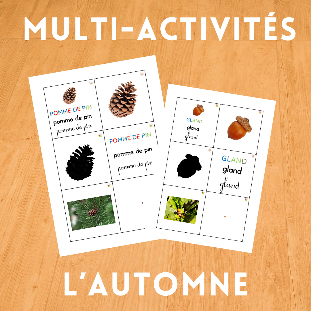 Pack Activités - Automne