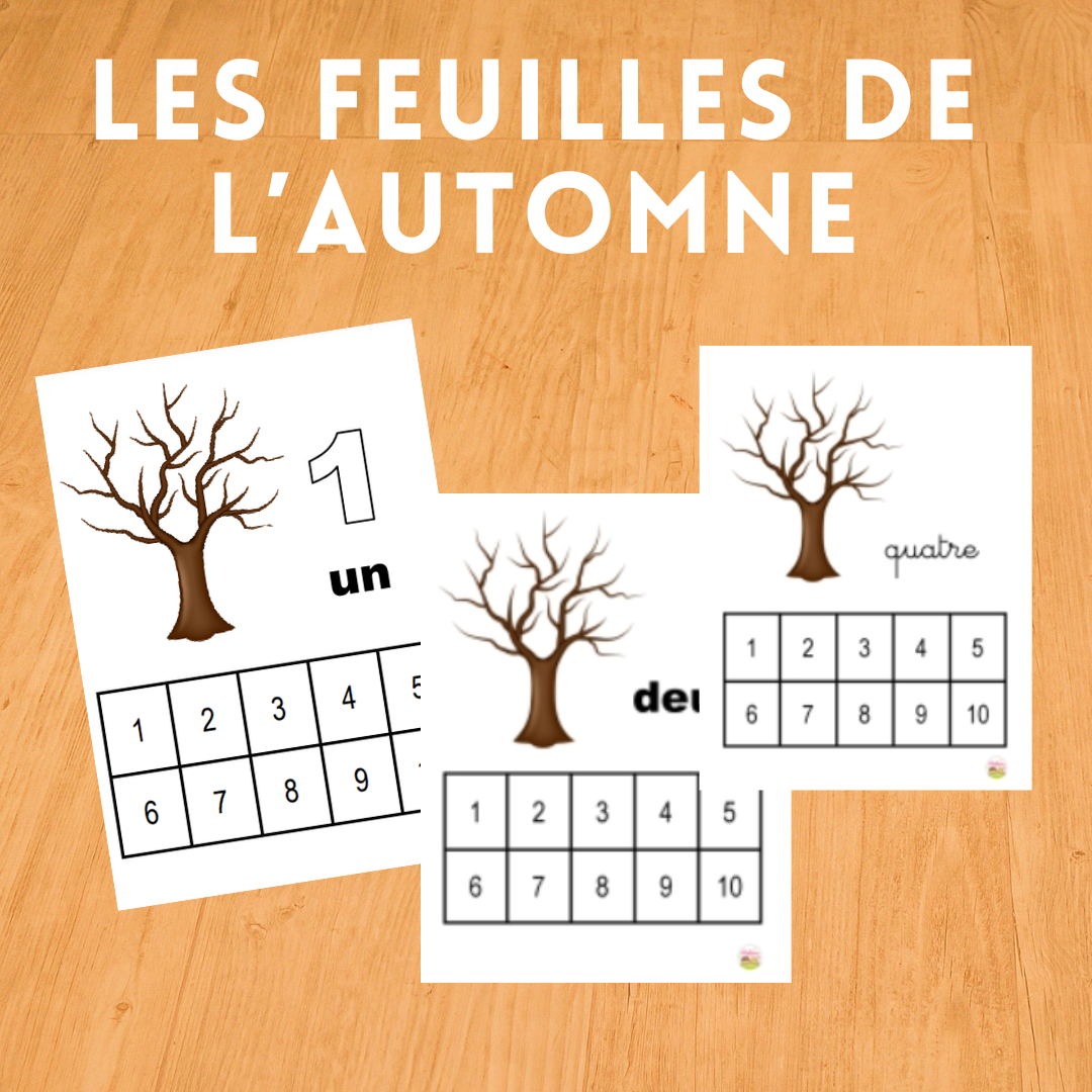 Pack Activités - Automne