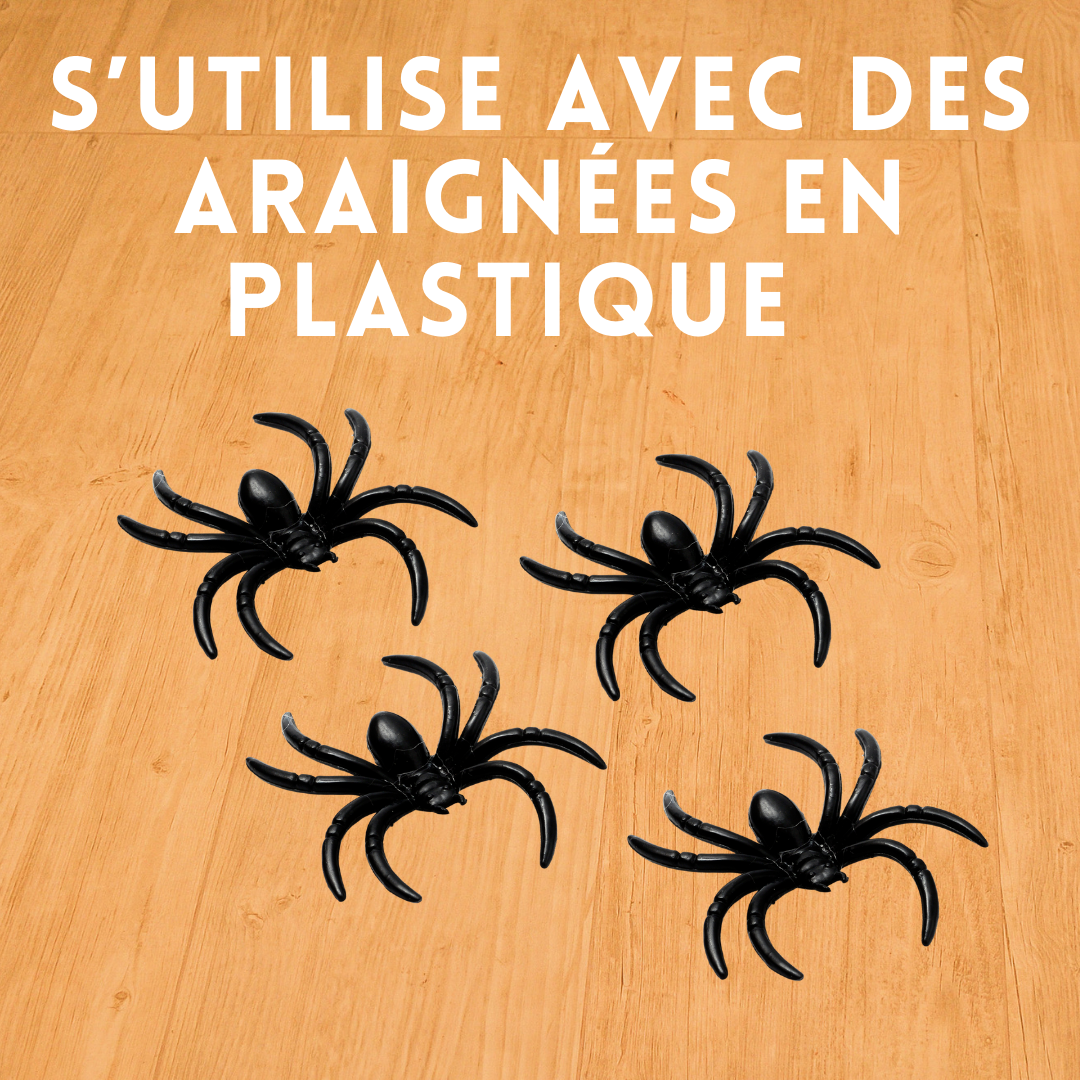 Les chiffres araignées