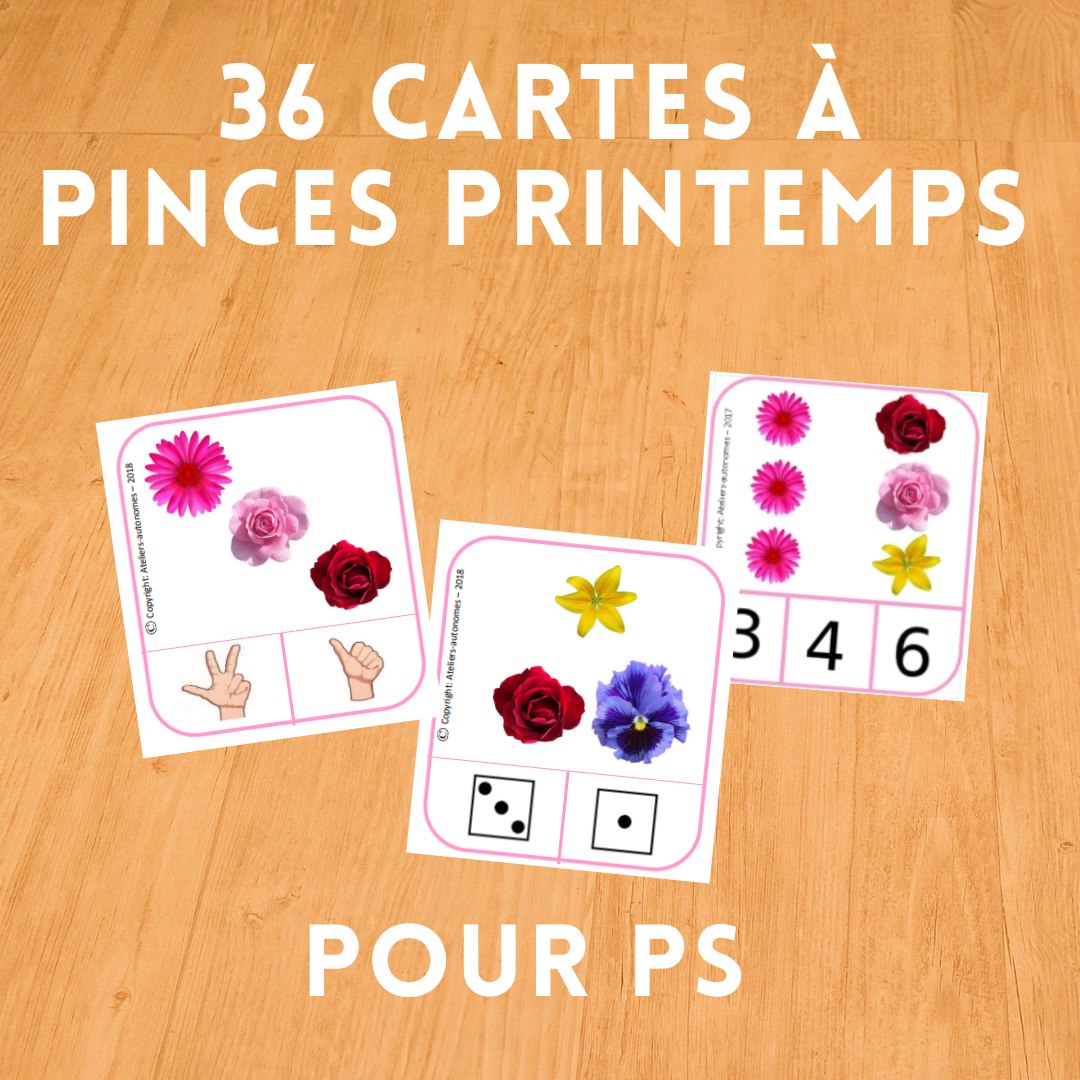 Cartes à pinces Printemps M1
