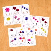 Cartes à pinces Printemps M1