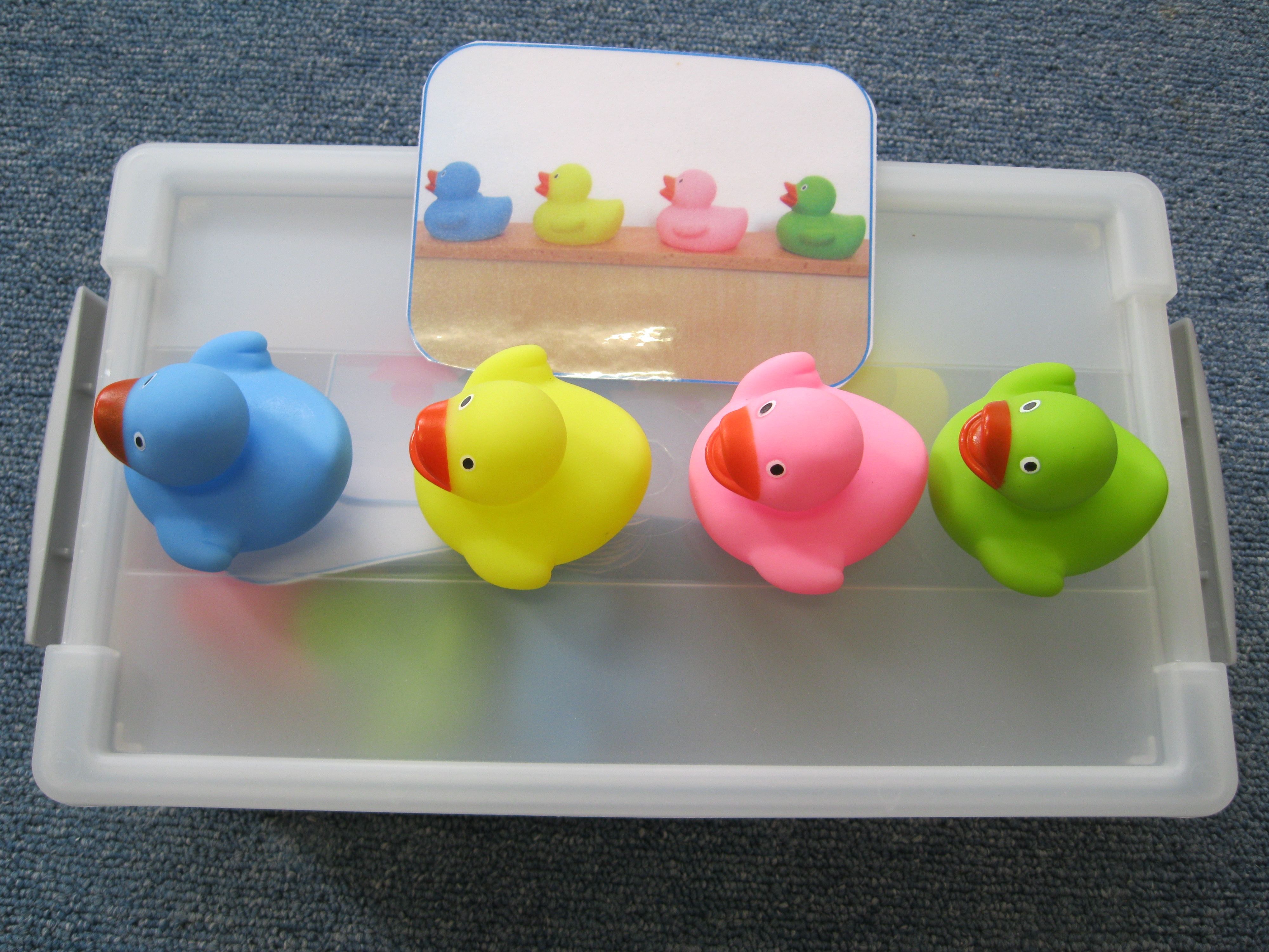 Pack Activités - Les canards Version 1