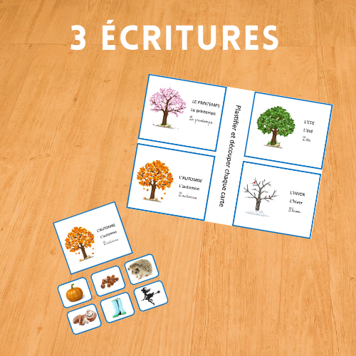 Les saisons - Tri et classement