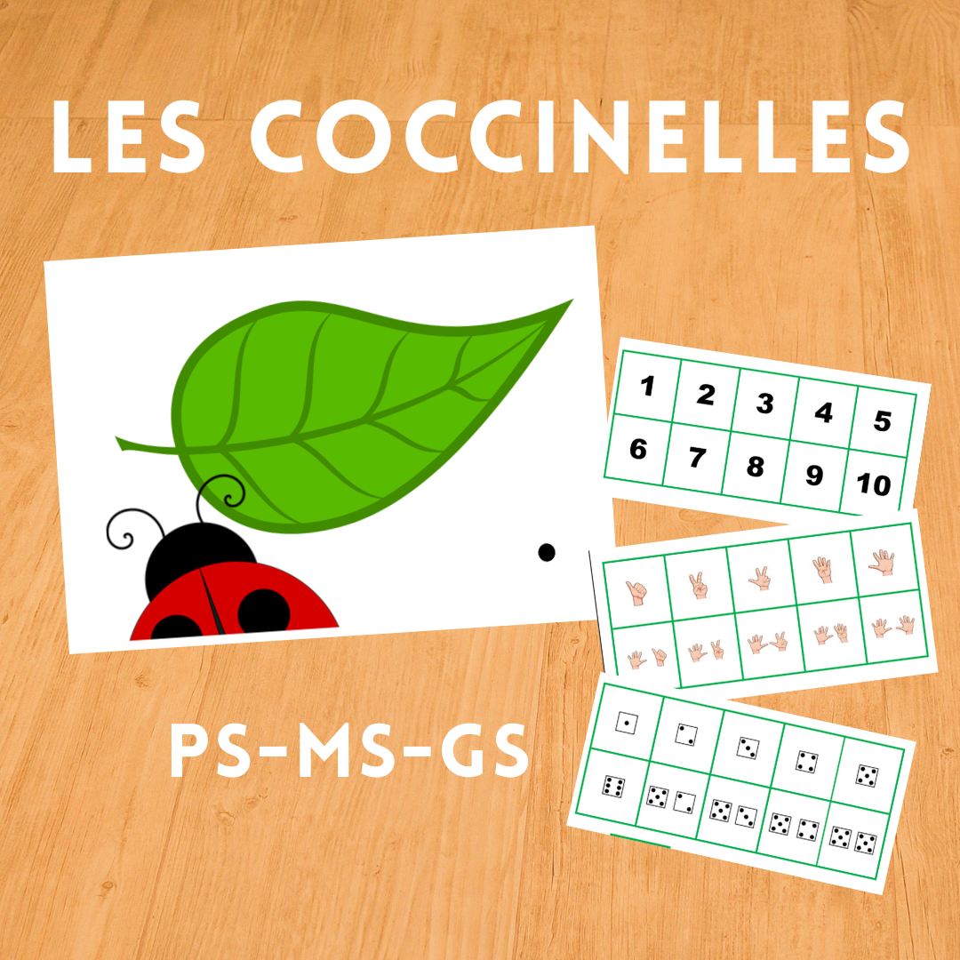 Les coccinelles