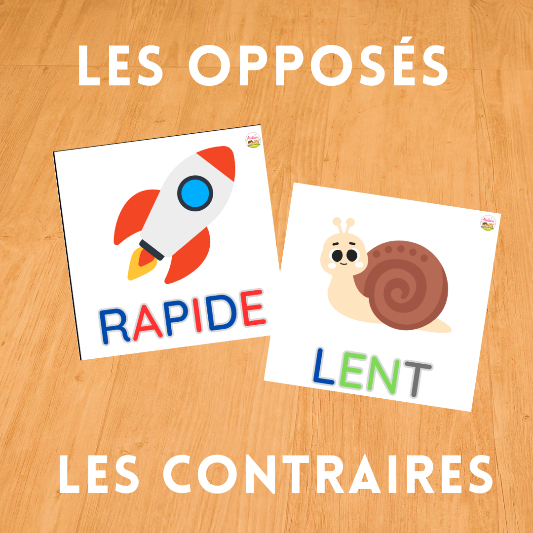 Les contraires/ les opposés
