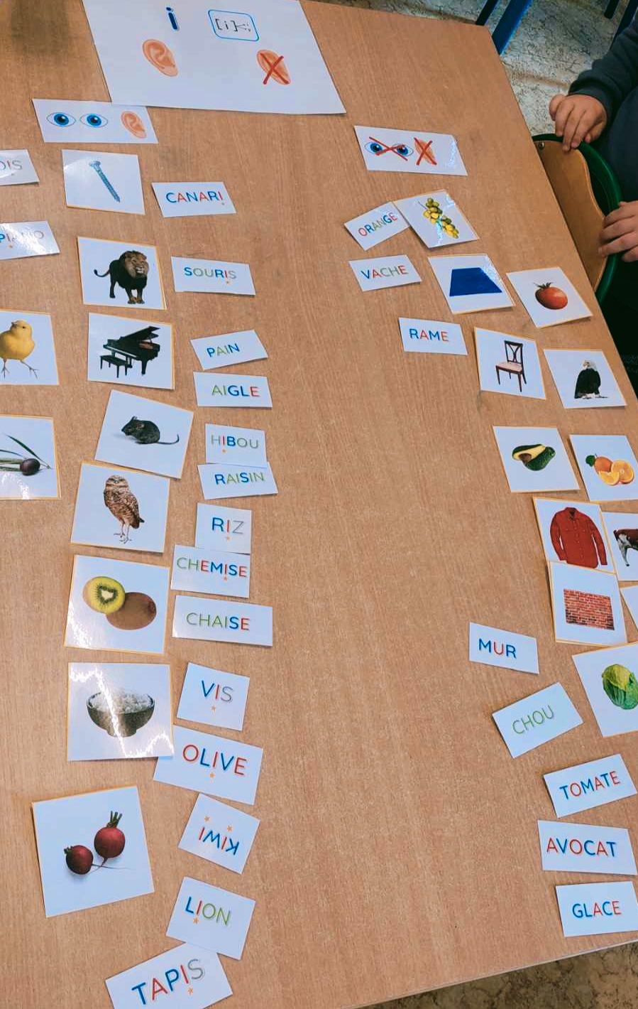 J'entends, je vois - Discrimination auditive et visuelle