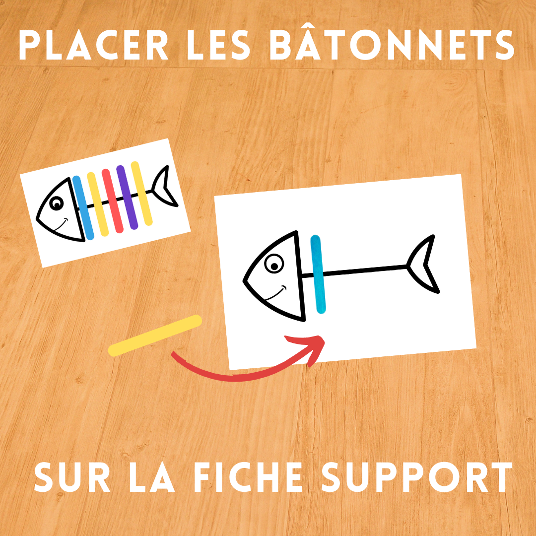 Les arêtes du poisson