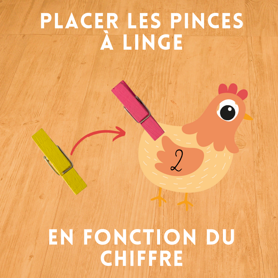 Le popotin de la poule