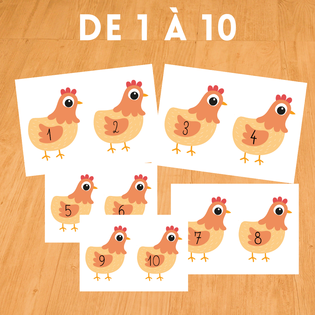 Le popotin de la poule