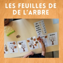 Pack Activités - Automne